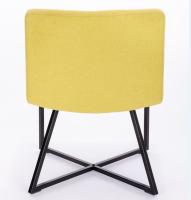 China Velvet Cover Modern Accent Chairs Accent Living Room Chairs With Lumbar Support And Black Steel Leg for sale