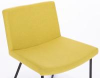 China Velvet Cover Modern Accent Chairs Accent Living Room Chairs With Lumbar Support And Black Steel Leg for sale