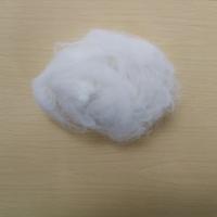 China Eco Friendly Virgin Staple Fiber High Performance Dyeable 1.5D-20D for sale