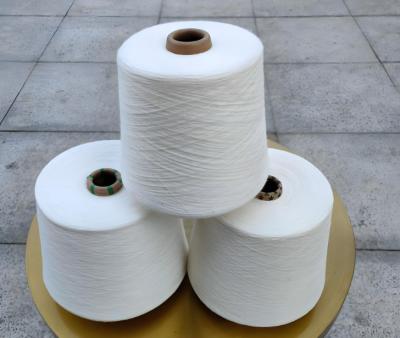 China Raw White Anti-Pilling 100% Acrylic Fiber Yarn 2D × 51mm for sale