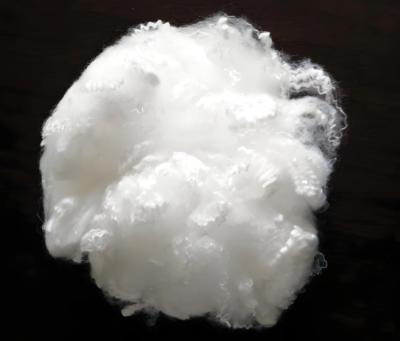 China GRS Certified Recycled PA6 Fiber 4D×76mm Raw White for sale