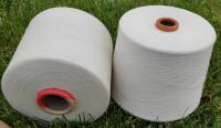 China 75D 36F Polyester FDY Yarn Full Dull for High-Speed Weaving for sale
