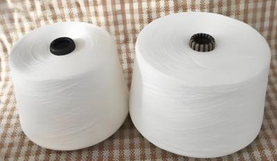 China Eco-Friendly Recycled Nylon Fiber for GRS Certified Textiles for sale