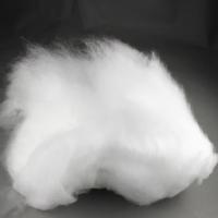 China SGS Certified Quick Dry Synthetic Staple Fiber Semi Dull for sale