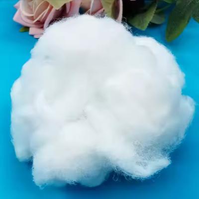 China High Tenacity Nylon 66 Staple Fiber - 15D x 76mm, for Industrial Fabrics for sale