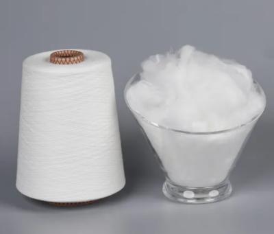 China Unleash the Potential of Your Products with Nylon 66 Fiber: Abrasion Resistance and Elastic Recovery for sale