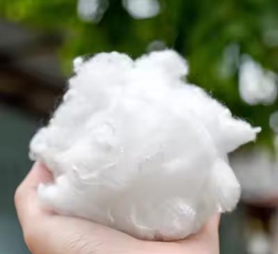 China Recycled GRS Certified Nylon 6 Fiber for Sustainable Textiles for sale