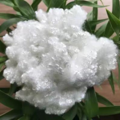 China GRS Approved Recycled Nylon 6 Fiber for Green Manufacturing for sale