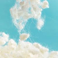 China Anti-Static Nylon Staple Fiber for Spinning with High-Tenacity and Elasticity in Textiles for sale