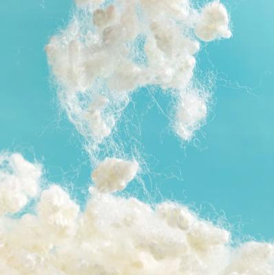 China Anti-Static Nylon Staple Fiber for Spinning with High-Tenacity and Elasticity in Textiles for sale