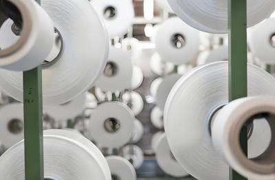China High-Performance PA6 Nylon Staple Fiber | Industrial-Grade Customization for sale