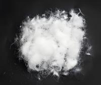 China Nylon Staple Fiber The Perfect Choice for Fabrics That Can Withstand Intense Forces for sale