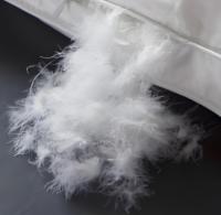 China Nylon 6 Staple Fiber 1.5D×32mm | 100% Virgin Textile Grade for sale