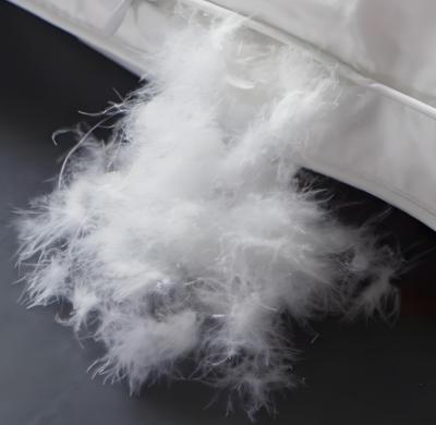 China Nylon 6 Staple Fiber 1.5D×32mm | 100% Virgin Textile Grade for sale