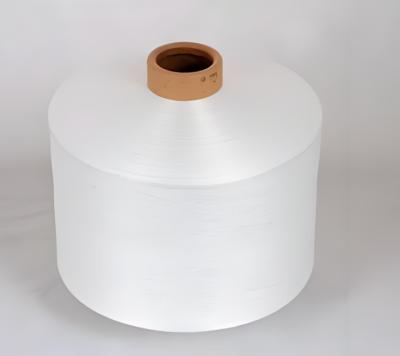 China 1.5D-51mm Cooling and Antibacterial Nylon Yarn with Moisture-Wicking for Outdoor Apparel for sale