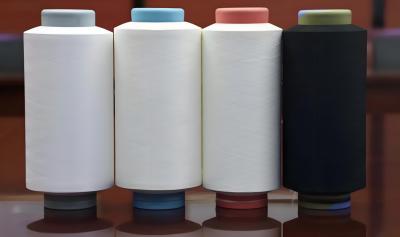 China PA6 Nylon Staple Fiber 1.2D-80D for Industrial Textiles for sale