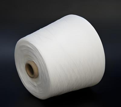 China Elastic and Abrasion Resistant PA6 Nylon Staple Fiber for Industrial Applications for sale