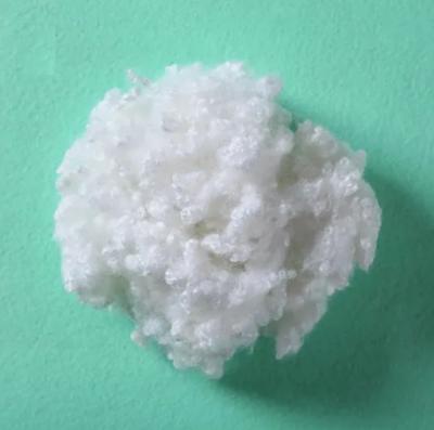 China Nylon Staple Fiber High Resilience Virgin/Recycled Siliconized 3D-11D Fiber for Superior Comfort and Durability for sale
