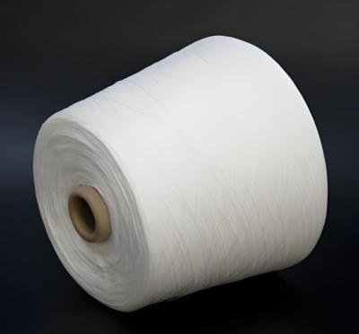 China Trilobal/Round/Hollow/Flat Nylon Staple Fiber 1.2D-80D 38mm-120mm Cut Length White/Black Color for sale
