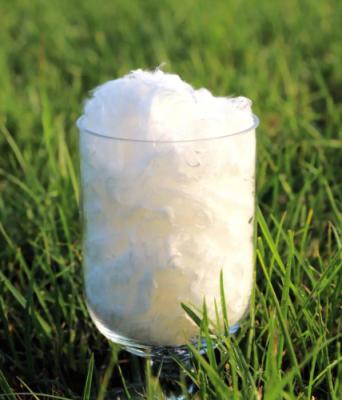 China 100% Polyester White 1.5D*38mm Solid Polyester Staple Fiber for sale