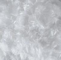 China 2D x 25mm Hollow Conjugated PSF Fiber Recycled Polyester Acrylic Blend Staple Fiber for sale