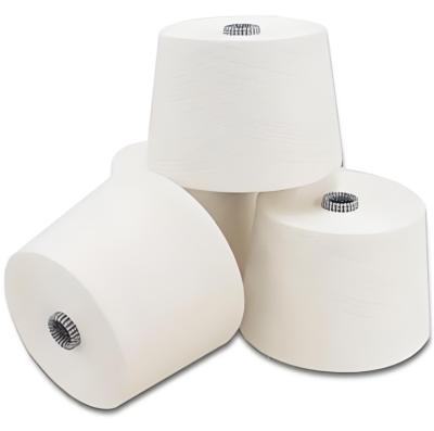 China 2D Nylon Staple Fiber 76mm for Medical and Apparel for sale