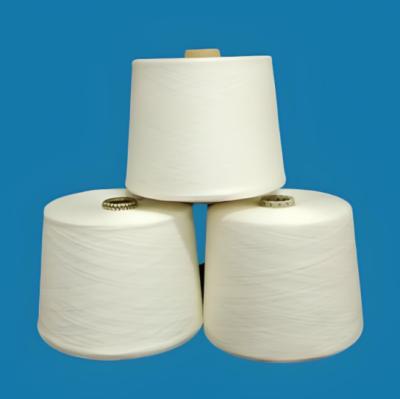 China Spinning Grade Acrylic Staple Fiber - 3D 5D 6D for yarn Manufacturing for sale