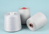 China 40D/72F Bright Recycled Nylon FDY Yarn - High Tenacity for Knitting and Weaving for sale