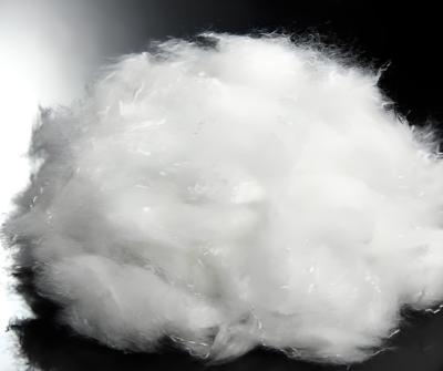 China Nylon 6 Fiber 20D/30D/40D Bright Semi-Dull Customizable for sale