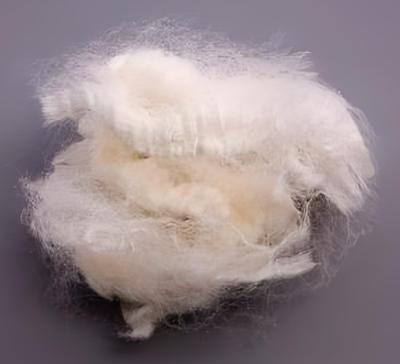 China ISO9001 Certified Nylon 6 Fiber High Quality Consistent Performance for Industrial Textiles for sale