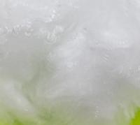 China 1.2D High-Quality Antibacterial Anti-Bacterial PP/PE Bicomponent Es Polyester Staple Fiber for sale