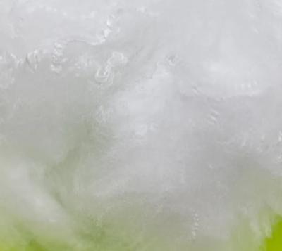 China 1.2D High-Quality Antibacterial Anti-Bacterial PP/PE Bicomponent Es Polyester Staple Fiber for sale