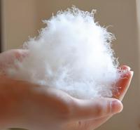 China Recycled Polyester Staple Fiber: Compliant with Google Standards for sale