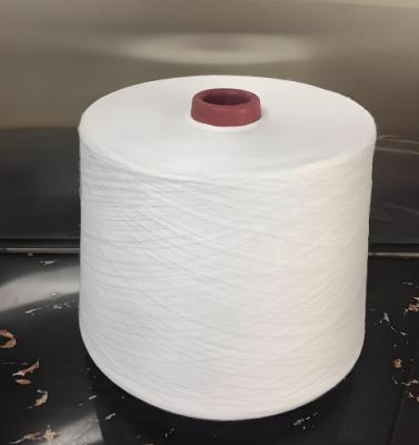 China Hollow Core Nylon 66 Fiber with Oil/Chemical Resistance, Available in White, Black, and Custom Colors for sale