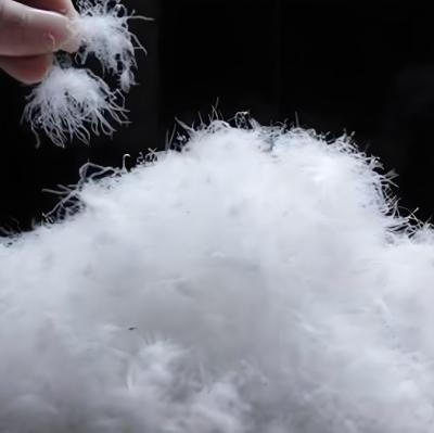 China Nylon Staple Fiber | 1.5-20 Denier, 38-152mm Length for sale