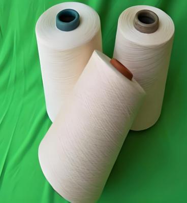 China GRS Certified Recycled Nylon 6 Fiber | Post-Consumer Recycled Nylon Filament for sale