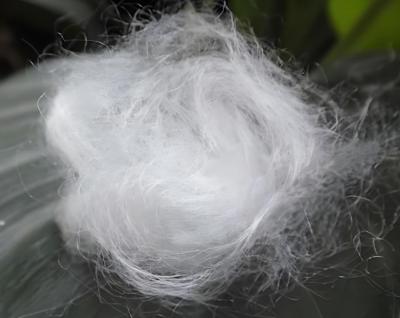 China 1.5D × 38mm High-Whiteness Bright Acrylic Fiber | Bulkiness ≥12cm³/g, Specially for Premium Blankets and Toy Fillings for sale