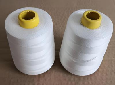 China High-Tenacity Low-Elongation Nylon 66 Industrial Yarn for sale