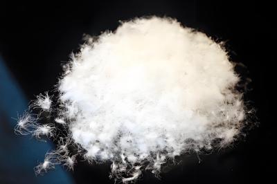 China DTY Polyester Yarn 150D/288F Semi-Dull for sale