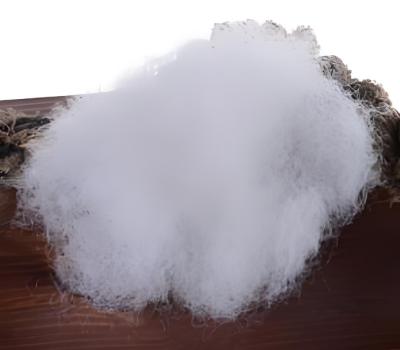China Hollow Warmth Polyester Staple Fiber 6D x 64mm (Silicone Treated) for sale