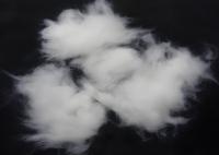 China Regenerated Nylon Fiber - 20D/38mm for sale