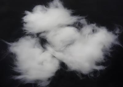 China Regenerated Nylon Fiber - 20D/38mm for sale