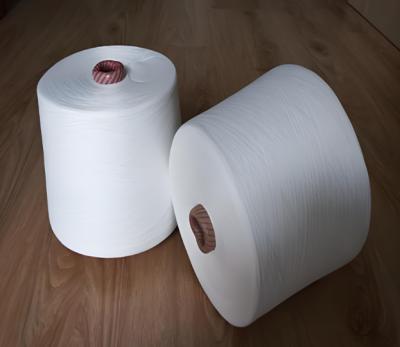 China PA6 Nylon Staple Fiber | Denier 3.0D | Length 51mm | Bright | White for sale