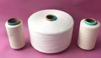China High-Tenacity Nylon Staple Fiber with Nano Ceramic Heat Absorption for sale