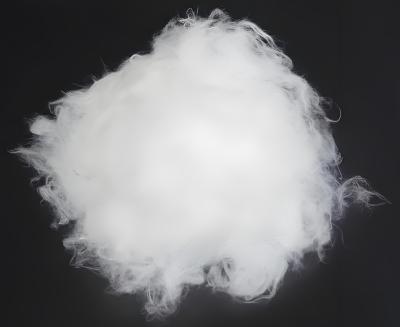 China Virgin Polyester Staple Fiber, 64mm, 1.5D, for Filling/Spinning for sale
