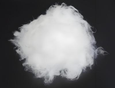 China Nylon 6 Flock Tow, 3D, 600k Total Denier, Semi-dull, for Staple Fiber Cutting for sale