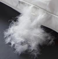 China PA6 V2 General Purpose Flame Retardant Nylon 6 for sale