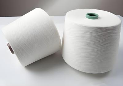 China Acrylic Staple Fiber 3D 64mm Virgin Acrylic Fiber for Wool Spinning and Knitting for sale