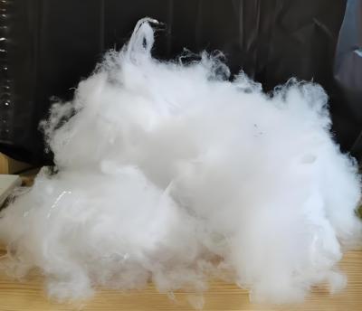 China Semi-dull Hollow 15D × 64mm Nylon 66 Filling Fiber for sale