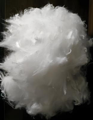 China 2D × 51mm Antipilling Acrylic Staple Fiber for sale